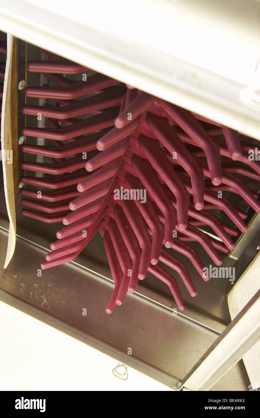 egreneur socma automatic grape sorting machine ch gd barrail lamarzelle ...