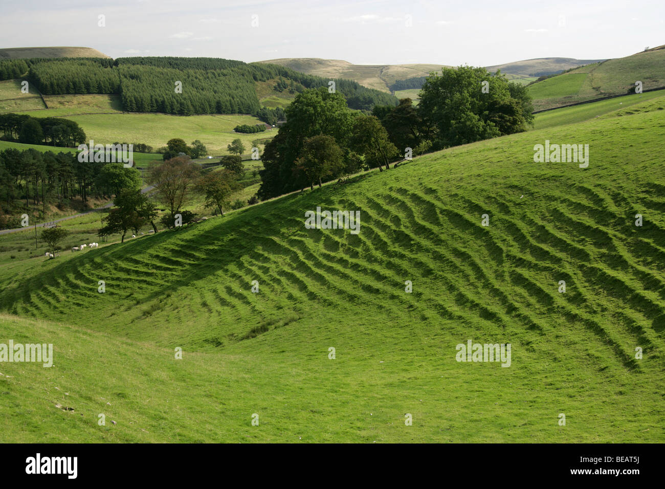 East Cheshire rural view looking south-east from Macclesfield Forest ...