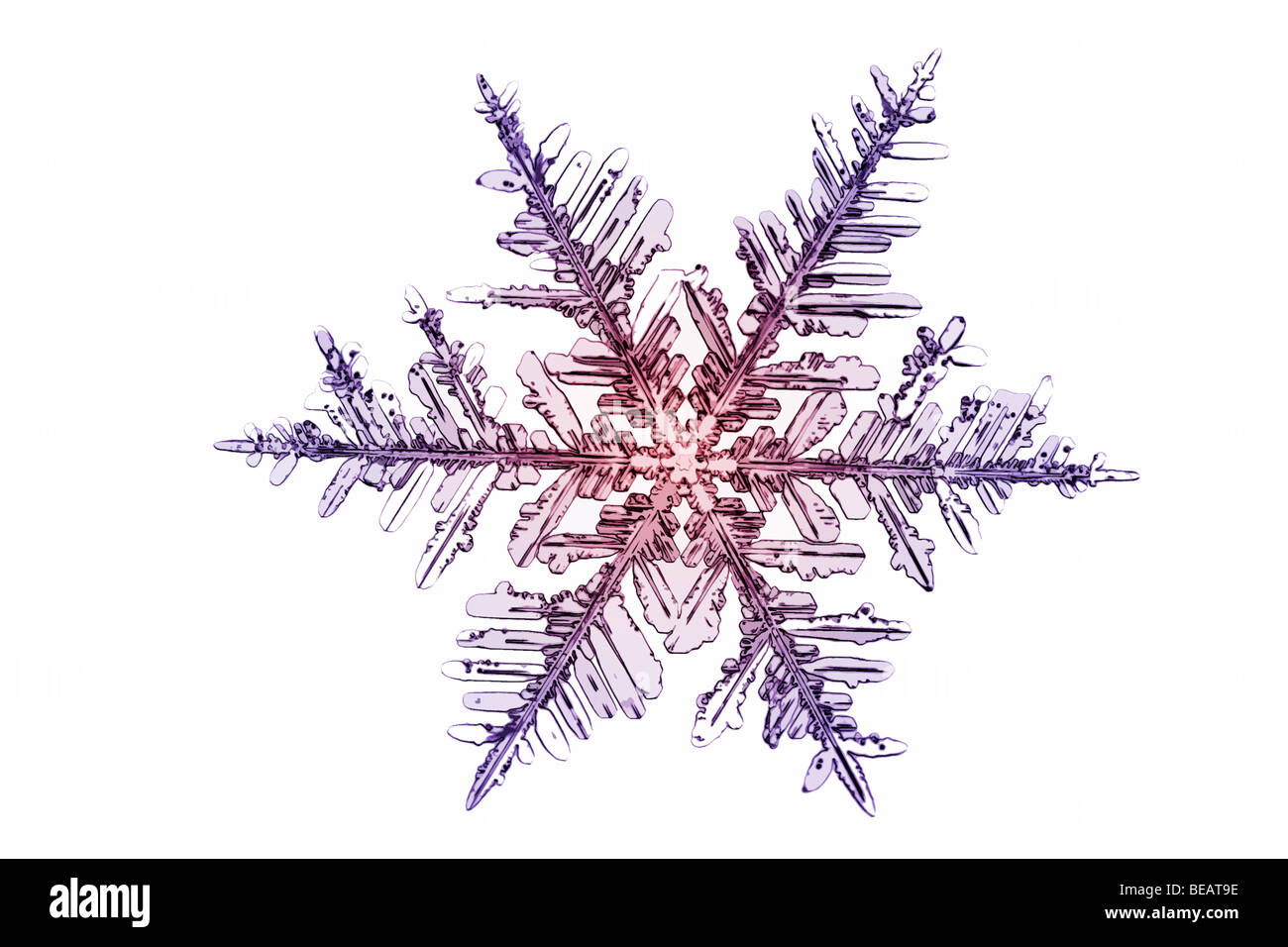 Snowflake snow crystal Cut Out Stock Images & Pictures - Alamy
