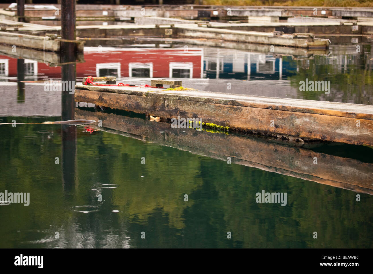 Canada telegraph cove hi-res stock photography and images - Alamy