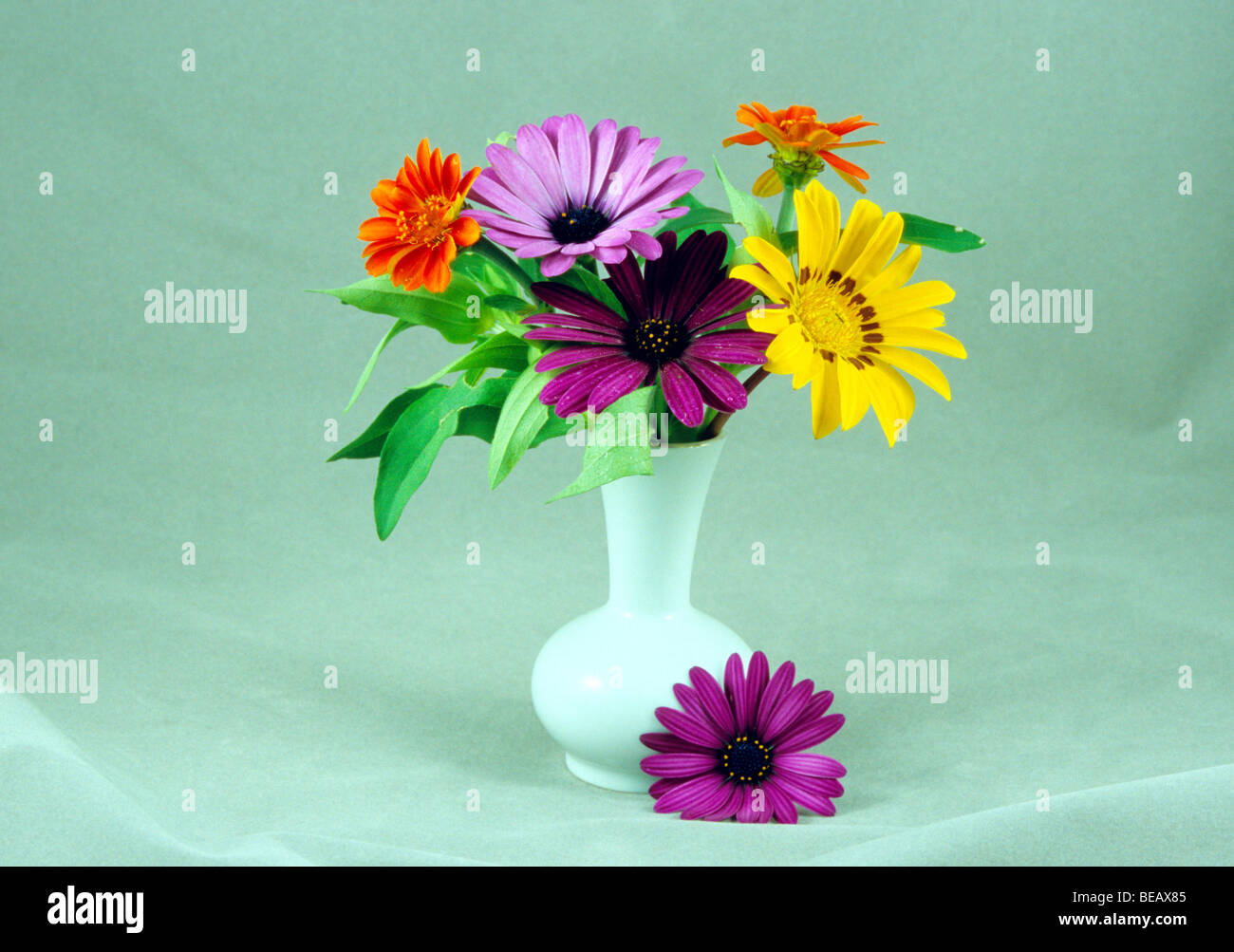 summer flowers in vase composition arrangement cut out bouquet Stock ...