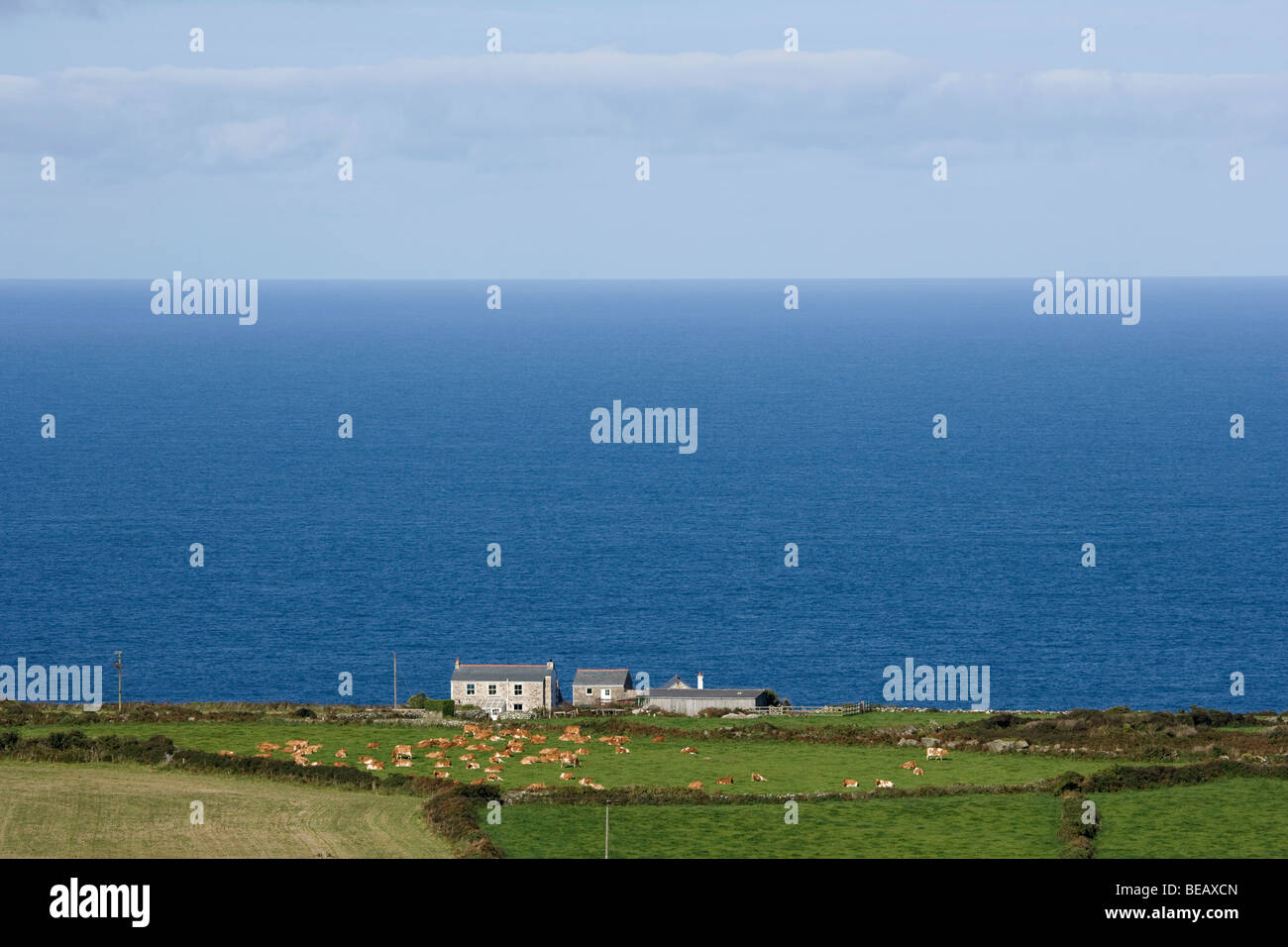 Penwith fields hi-res stock photography and images - Alamy
