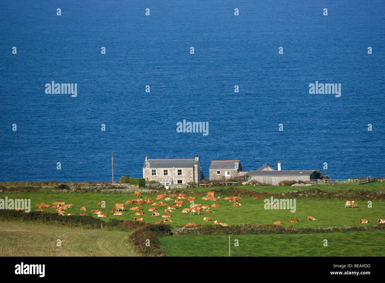 Lowland farm, Penwith, Cornwall Stock Photo - Alamy