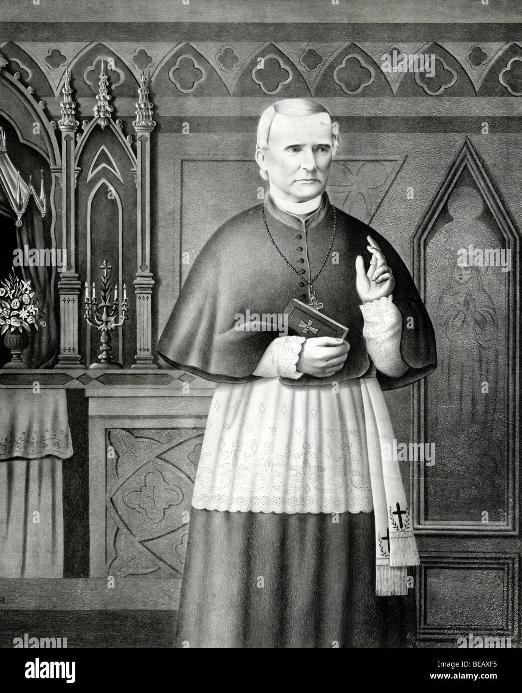 American cardinal hi-res stock photography and images - Alamy