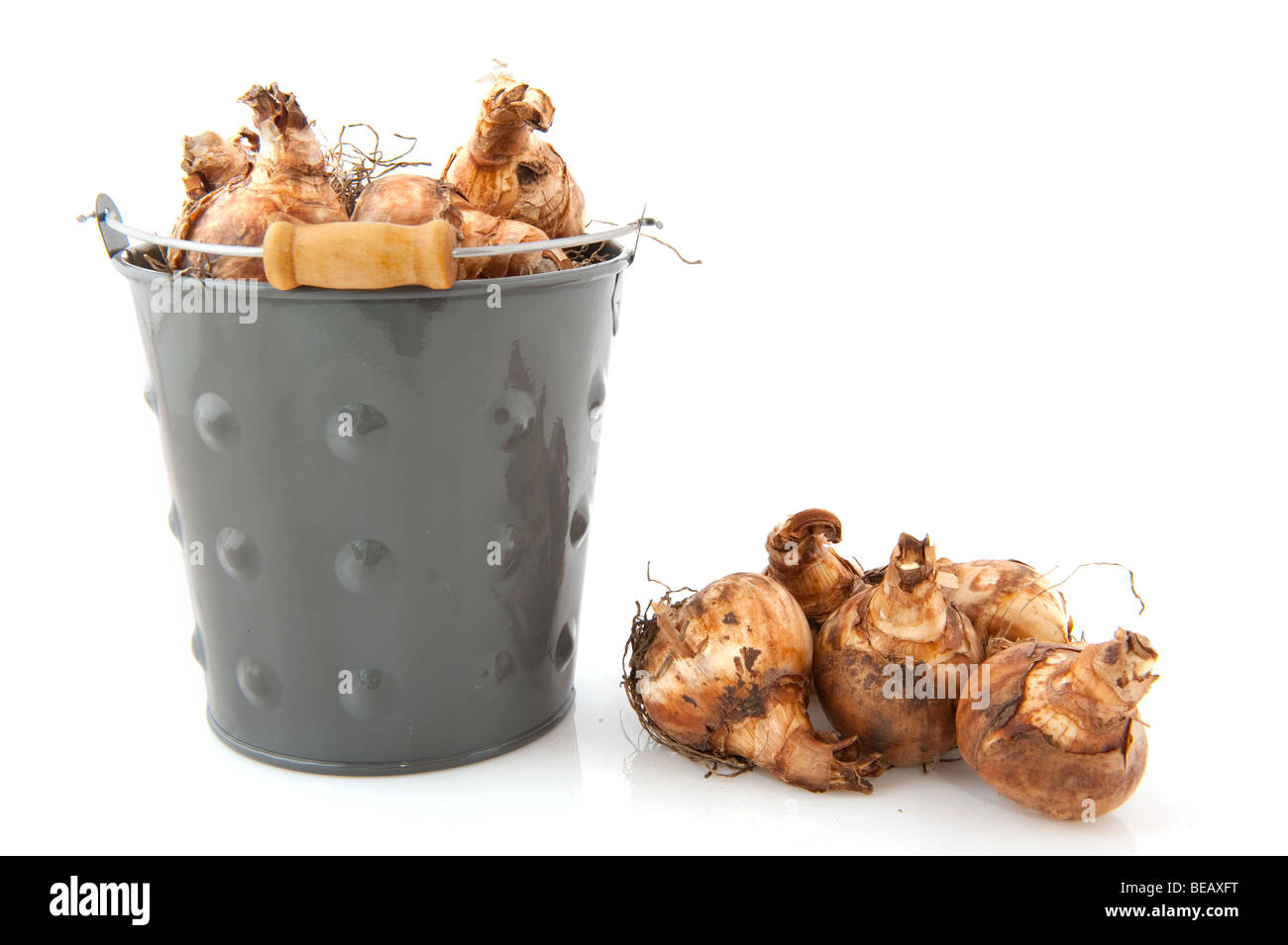 Dutch flower bucket Cut Out Stock Images & Pictures - Alamy