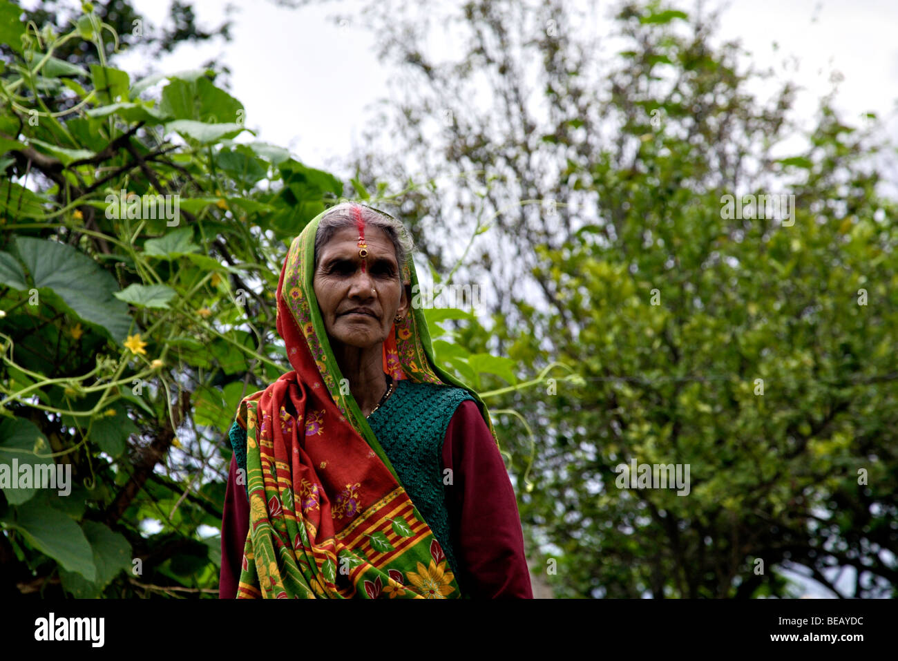 Elderly Hindu woman in Uttarakhand, India Stock Photo - Alamy