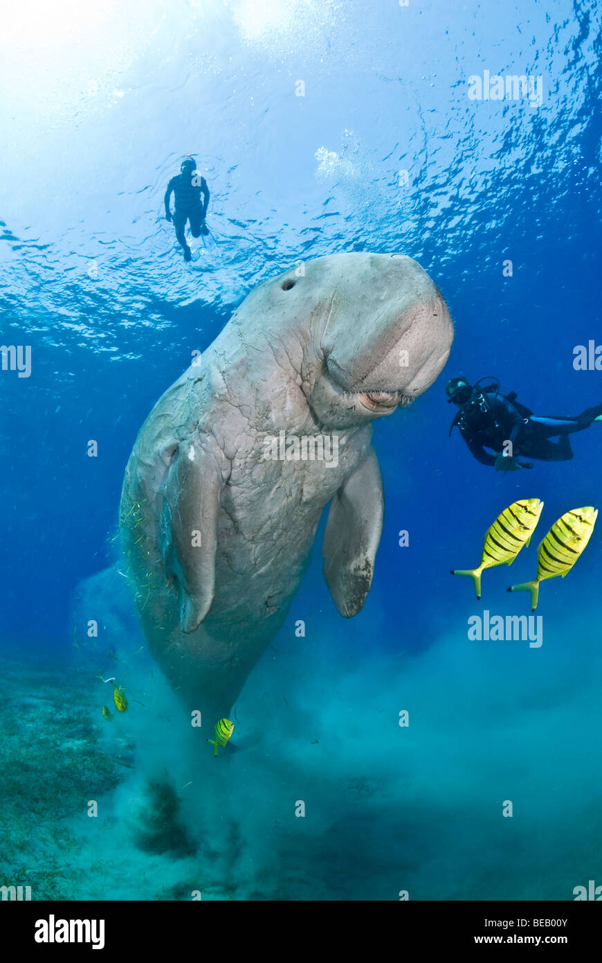 Marsa Cut Out Stock Images & Pictures - Alamy