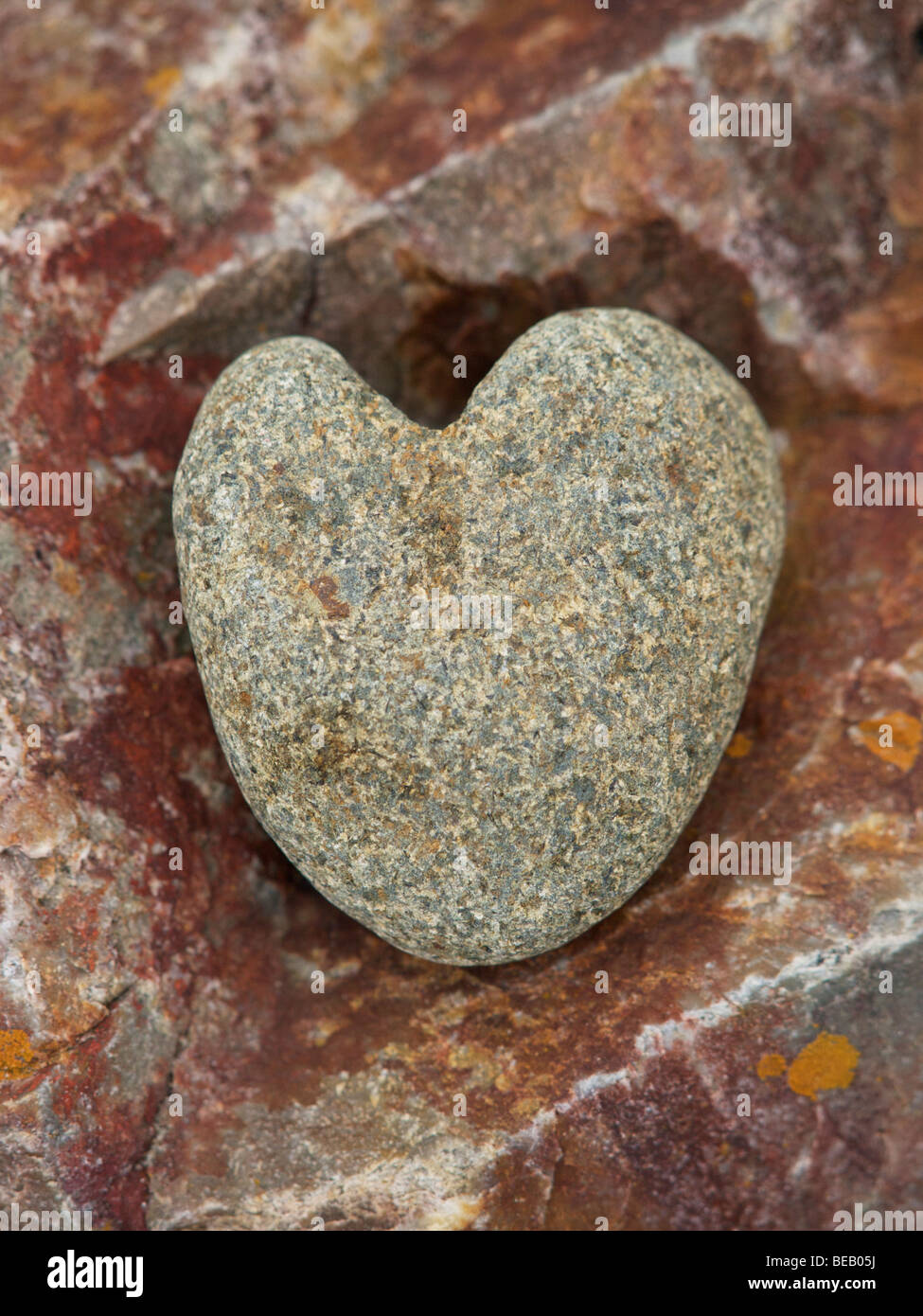 Beating Heart High Resolution Stock Photography and Images - Alamy
