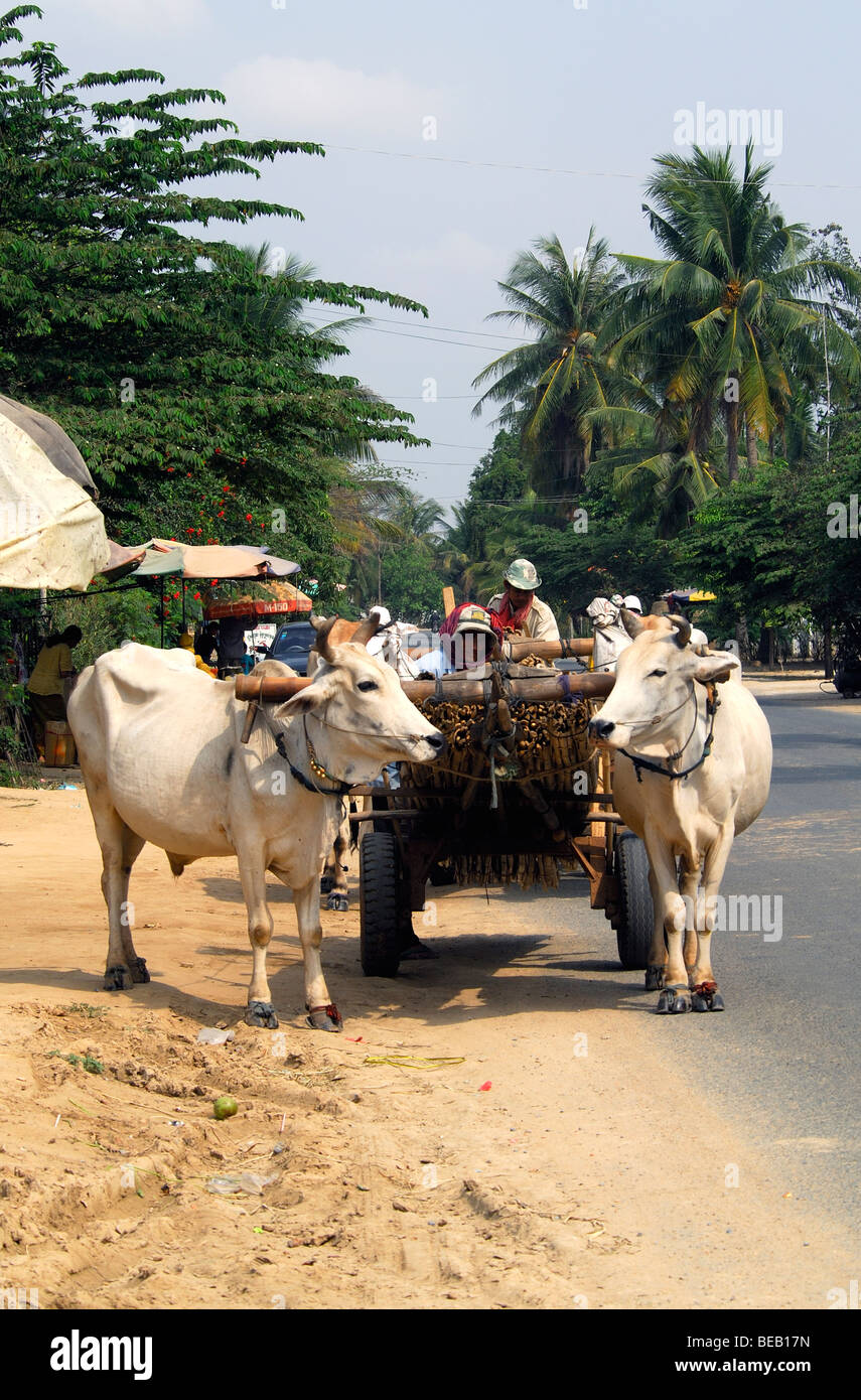 Bullock carts hi-res stock photography and images - Alamy