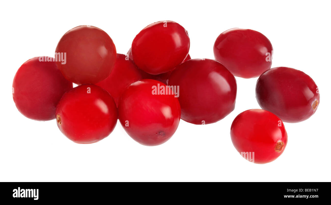 Cranberries bounceberry hi-res stock photography and images - Alamy