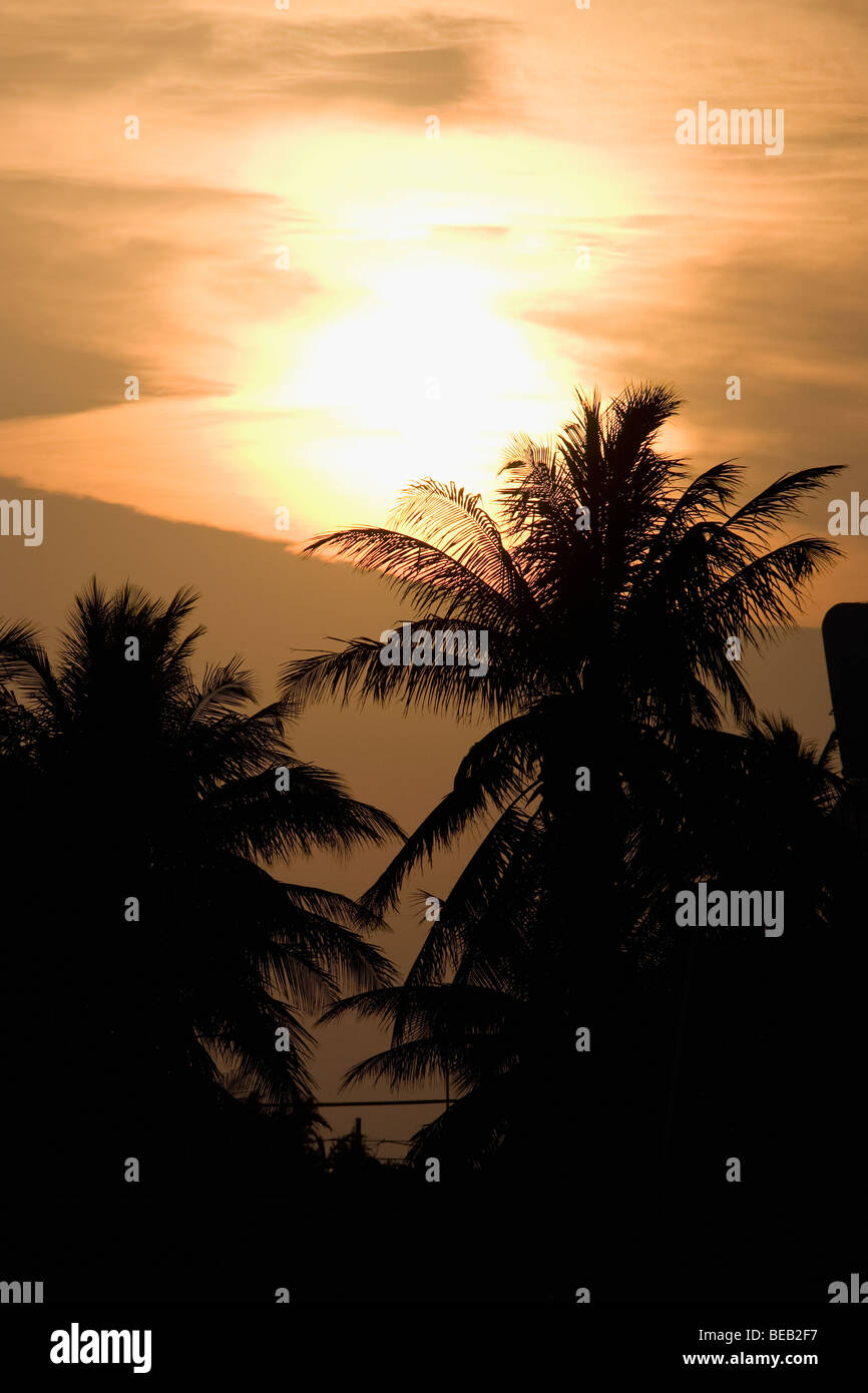 Miami dade silhouette hi-res stock photography and images - Alamy