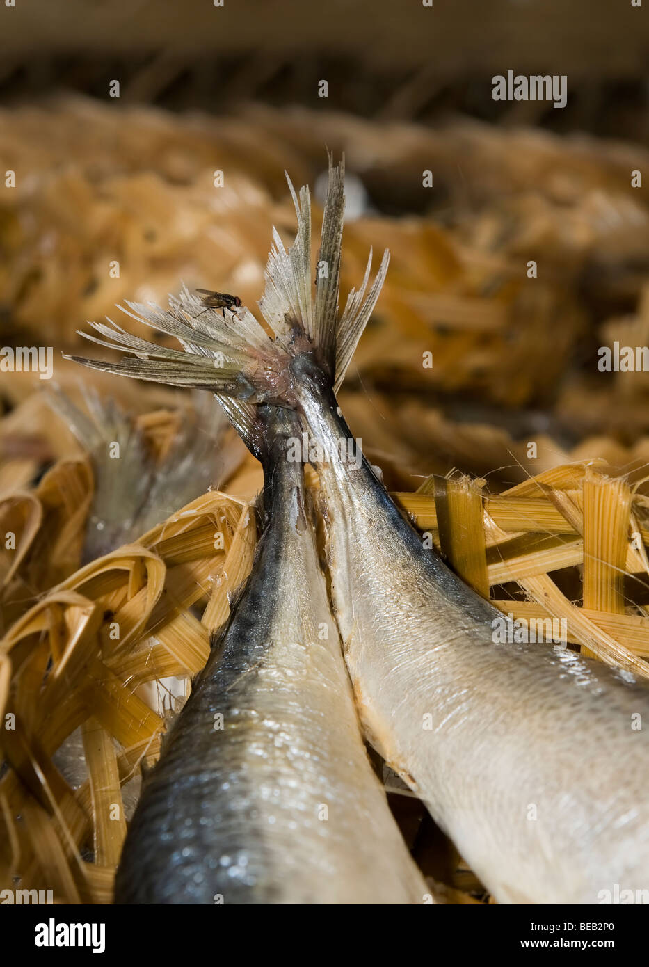Vietnam fish market saigon hi-res stock photography and images - Alamy