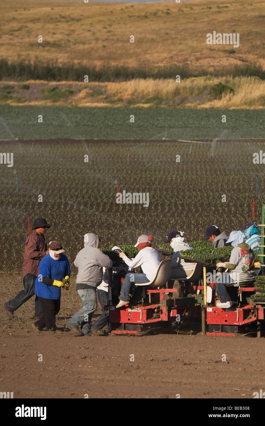California farmer tractor hi-res stock photography and images - Alamy