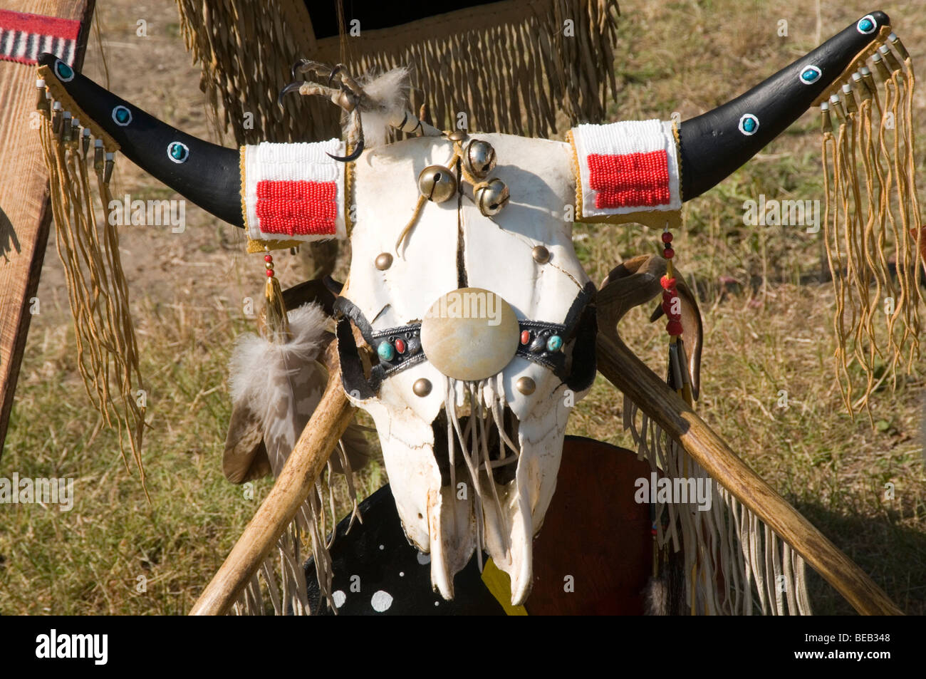native american americans indian indians skull skulls horns fertility ...
