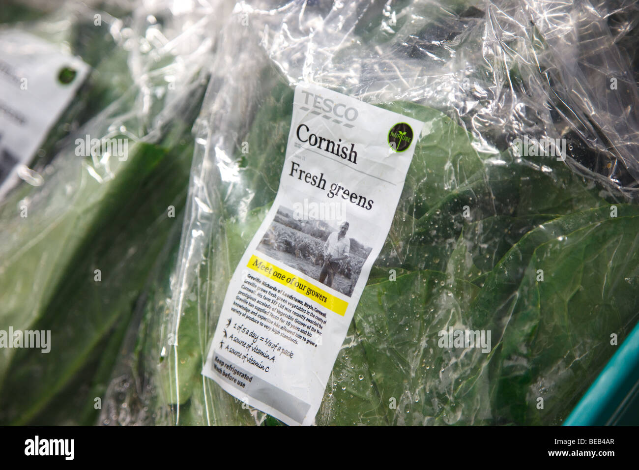 Cornish fresh greens Stock Photo - Alamy