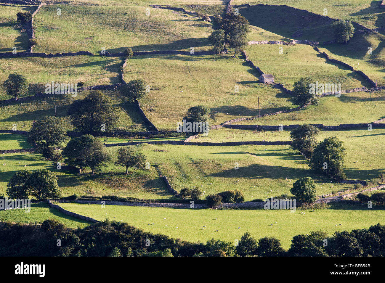 Grinton Moor Swaledale Yorkshire 2 Stock Photo - Alamy