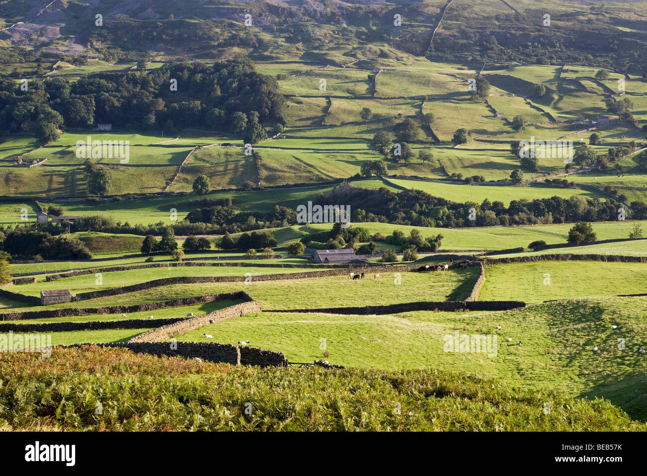 Grinton Moor Swaledale Yorkshire 1 Stock Photo - Alamy
