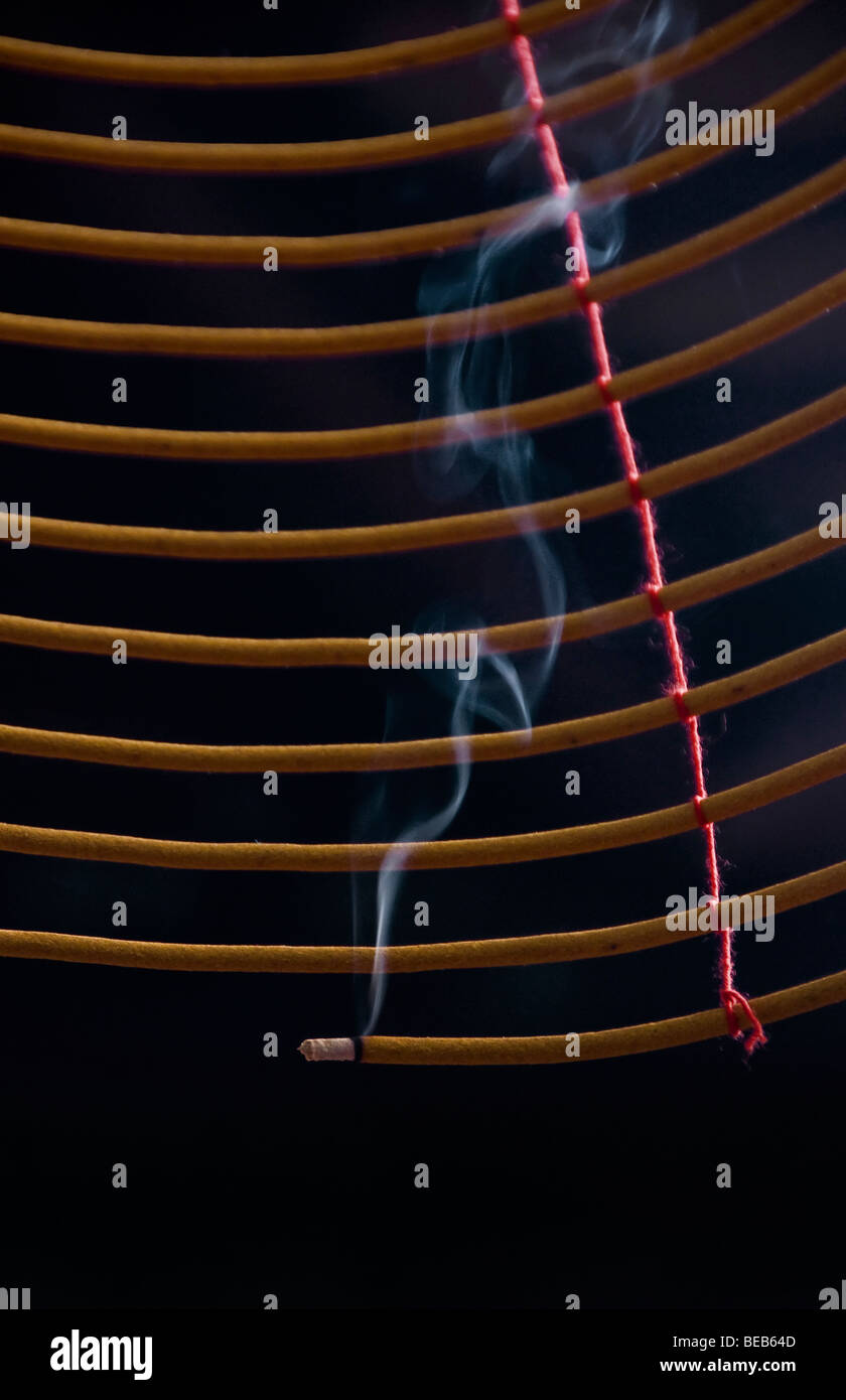 Incense Coils, Ho Chi Min City, Saigon, Vietnam Stock Photo - Alamy