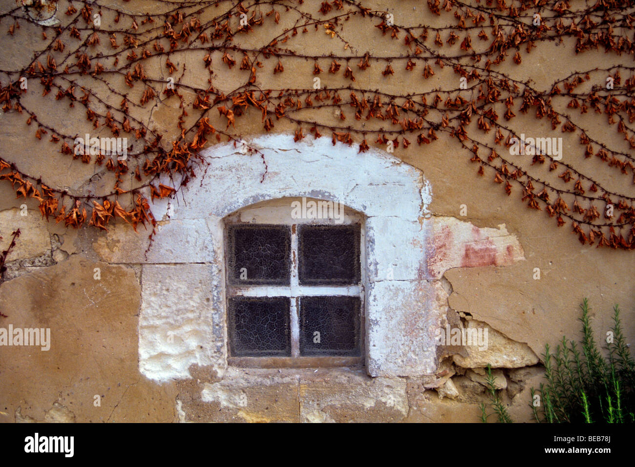 The decorative Doors and Windows of Provence provide a attractive and ...