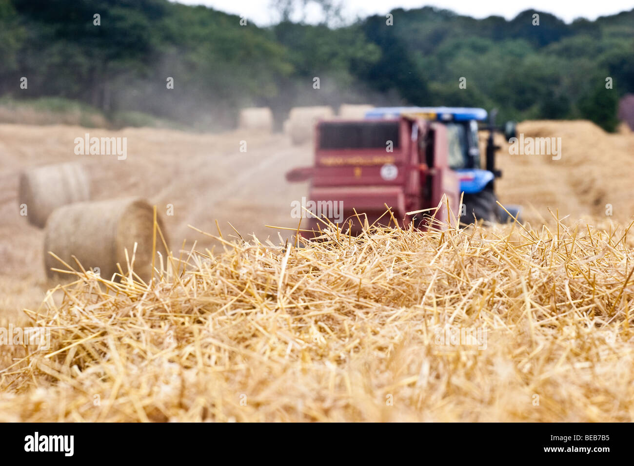 Bailing hay hi-res stock photography and images - Alamy
