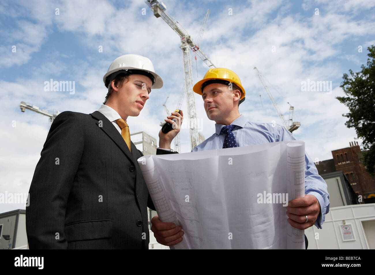 Construction managers with plans Stock Photo - Alamy