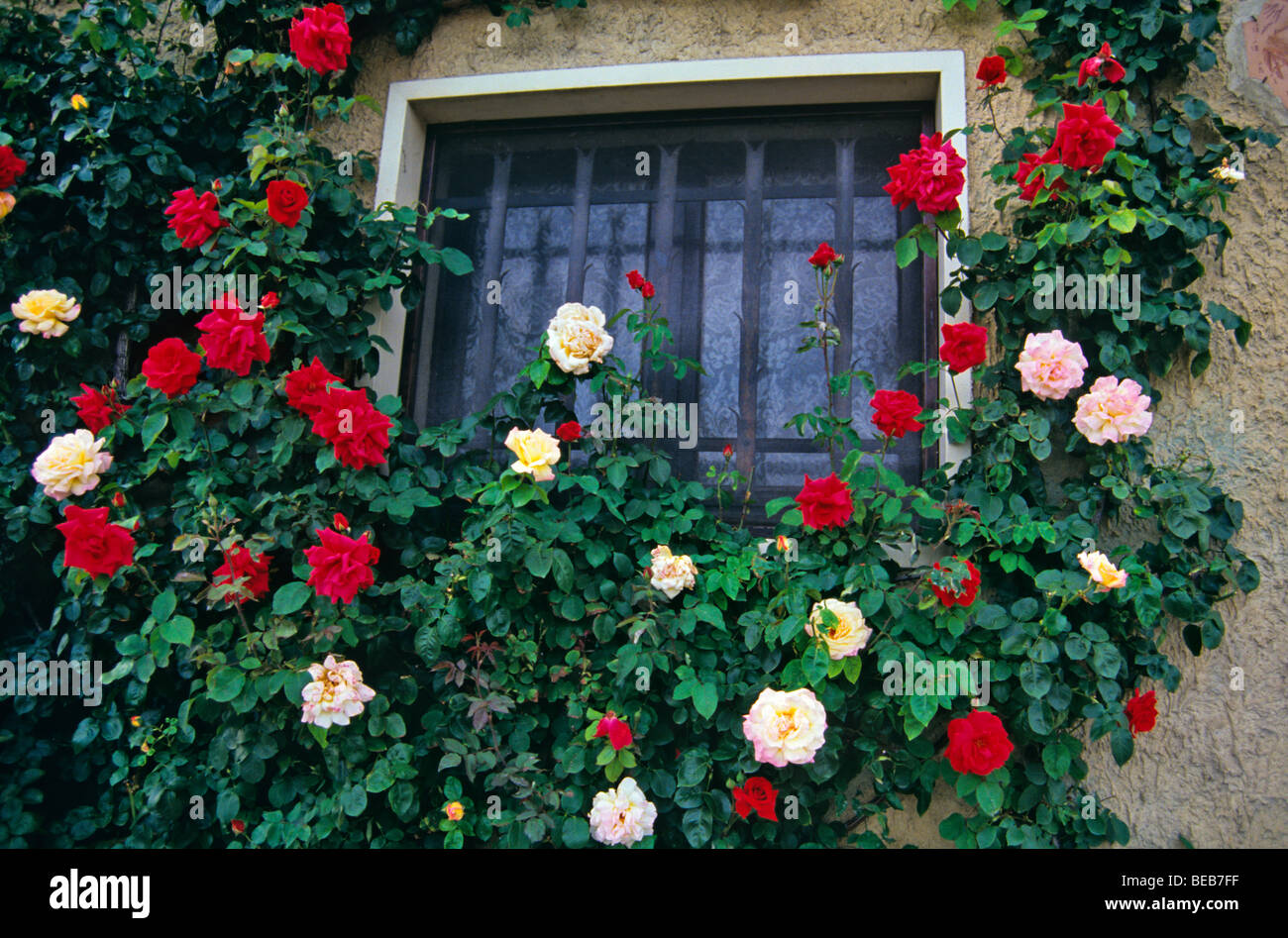 The decorative Doors and Windows of Provence provide a attractive and ...