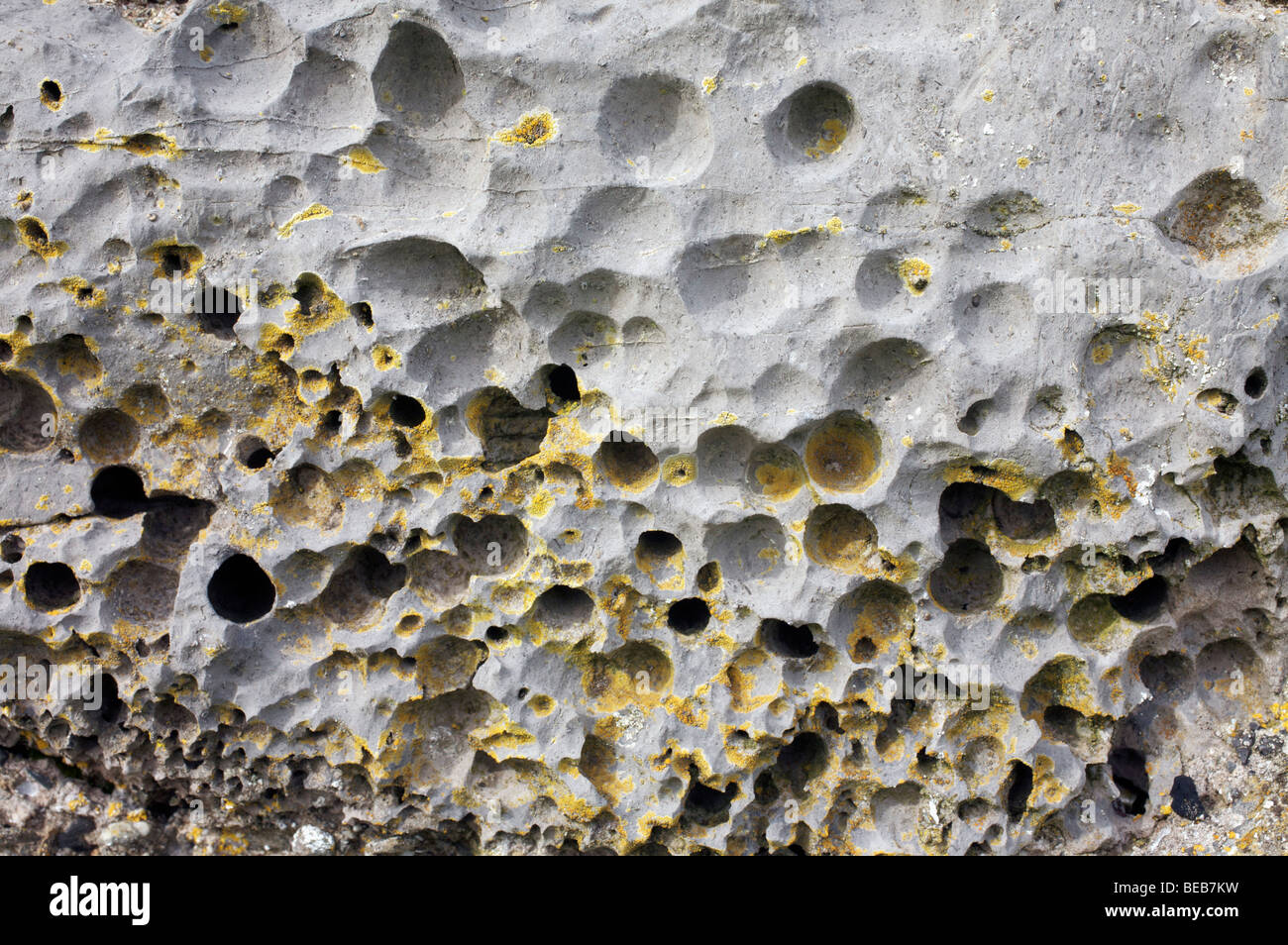 pitted grey limestone with lichens in a coastal environment Stock Photo ...
