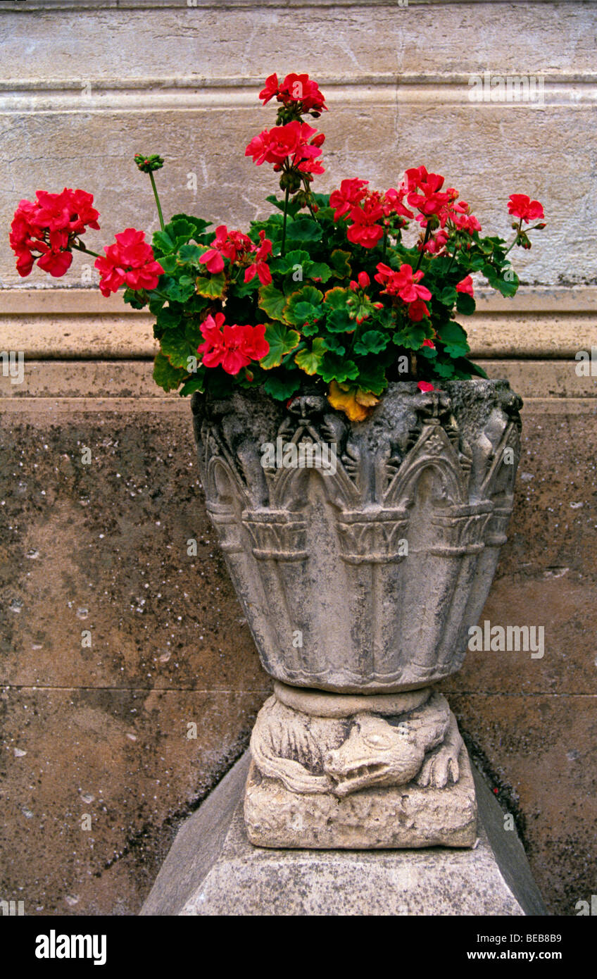 A colourful planted antique stone decorated container in Provence Stock ...
