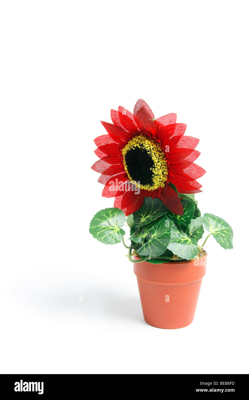 Pot with plant Cut Out Stock Images & Pictures - Alamy