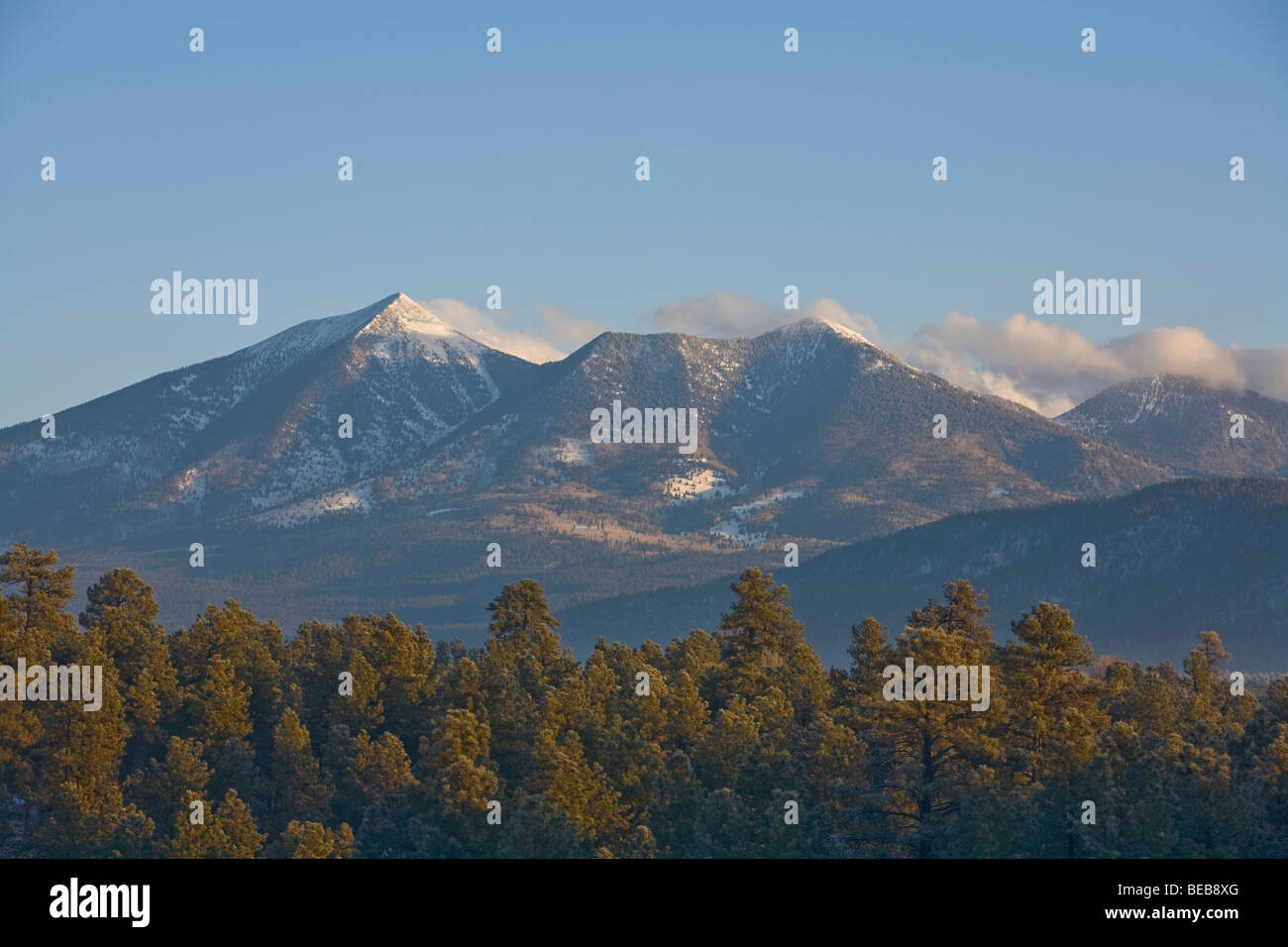 San Francisco Peaks on winter morning, viewed from NAU campus ...