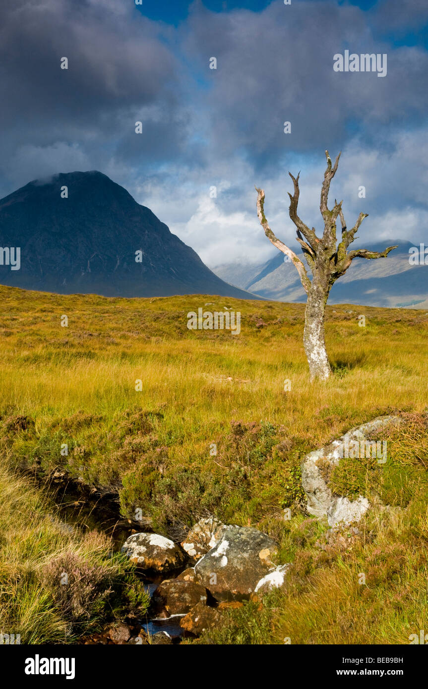 Dead campers hi-res stock photography and images - Alamy