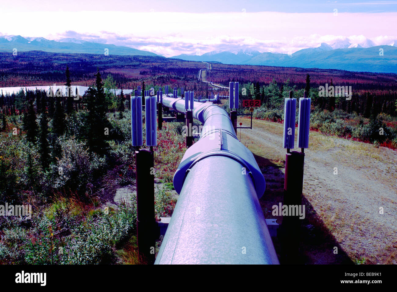 Trans-Alaska Pipeline aka Alyeska Pipeline, Oil Pipeline above ground ...