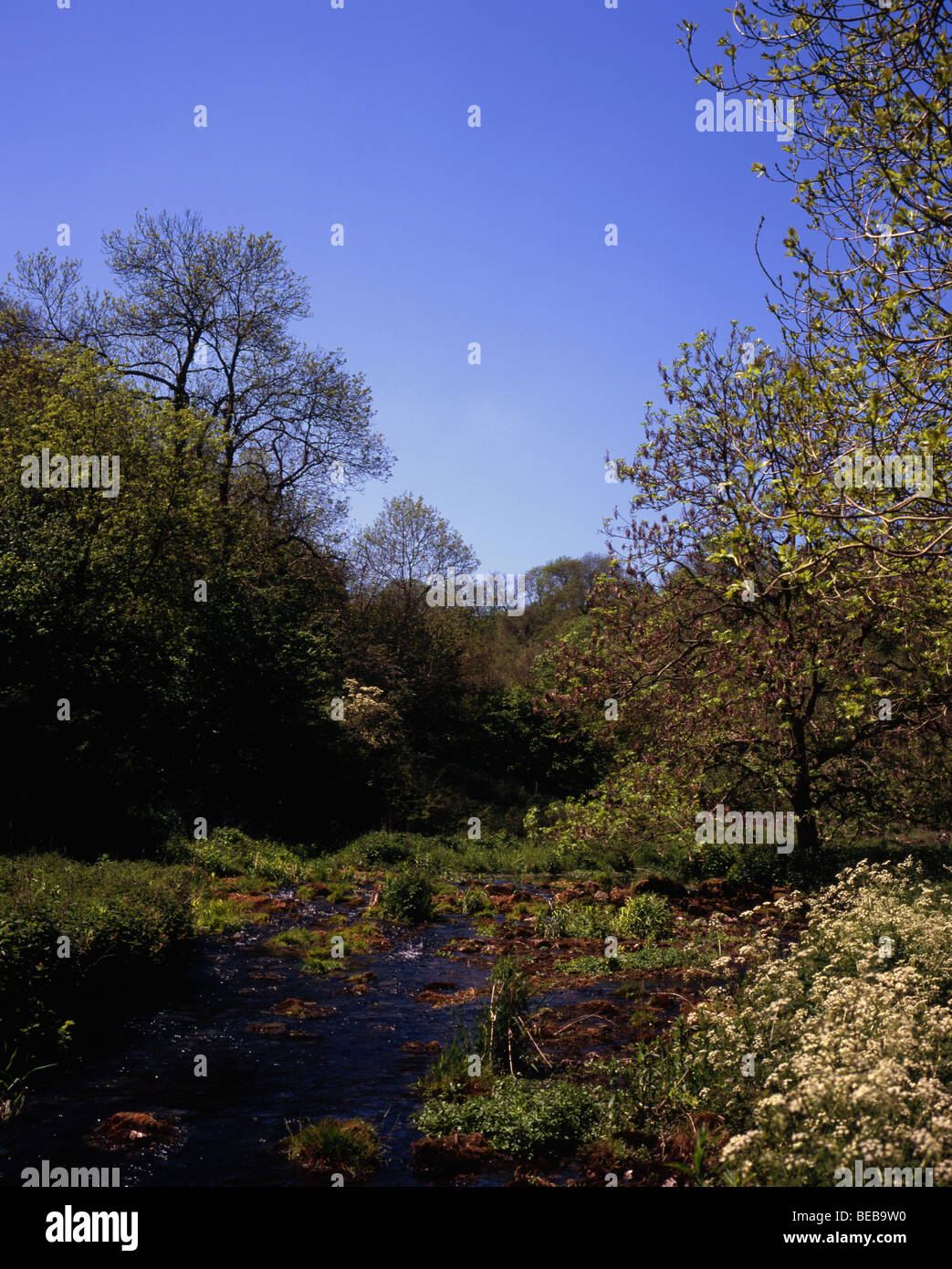 The River Lathkill Lathkill Dale Derbyshire England Stock Photo - Alamy