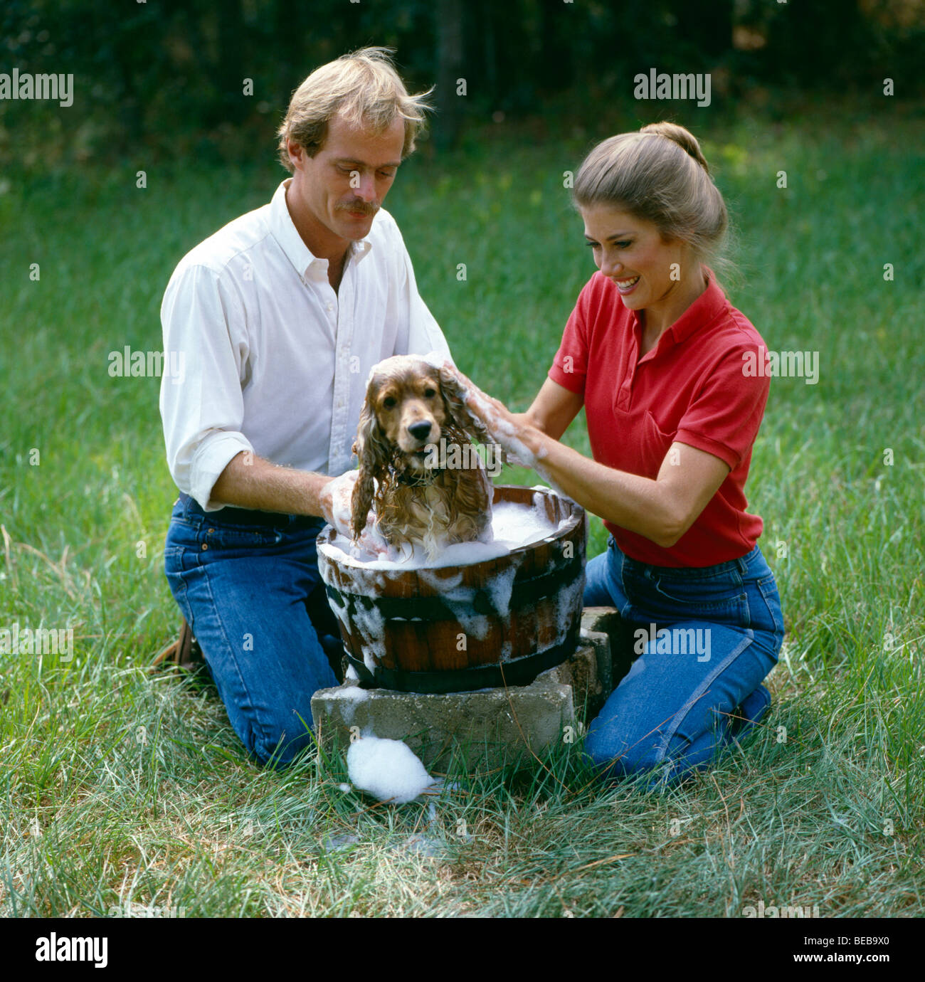 Family Washing Dog High Resolution Stock Photography and Images - Alamy