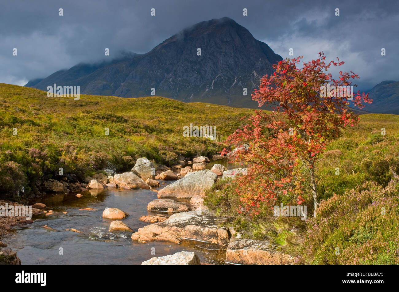 Buachaillie Etive Mor in Glen Coe, Inverness-shire SCO 5350 Stock Photo ...