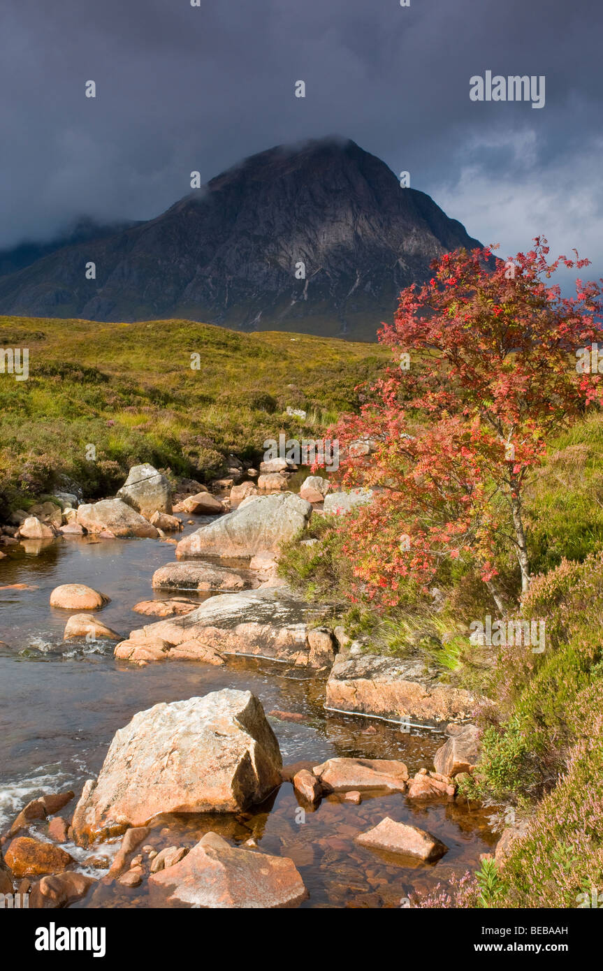 Buachaillie Etive Mor in Glen Coe, Inverness-shire SCO 5351 Stock Photo ...