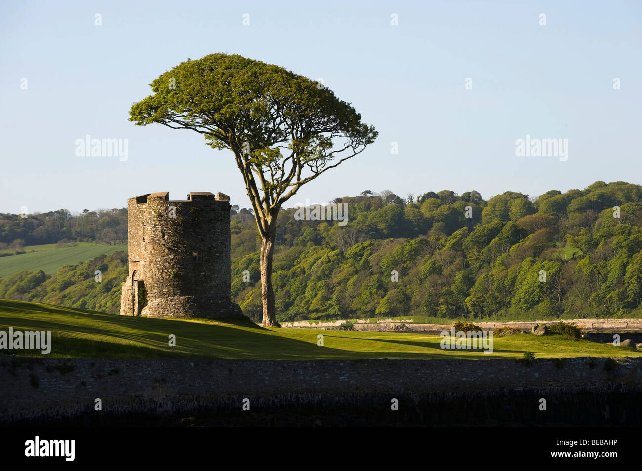 Tree tower hi-res stock photography and images - Alamy