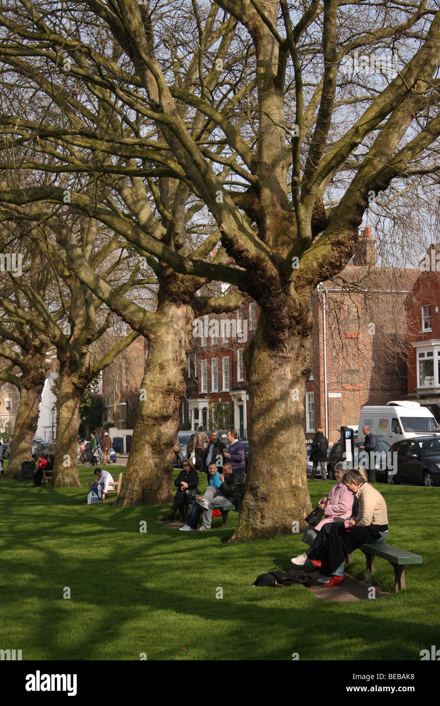 Group people sitting under tree hi-res stock photography and images - Alamy