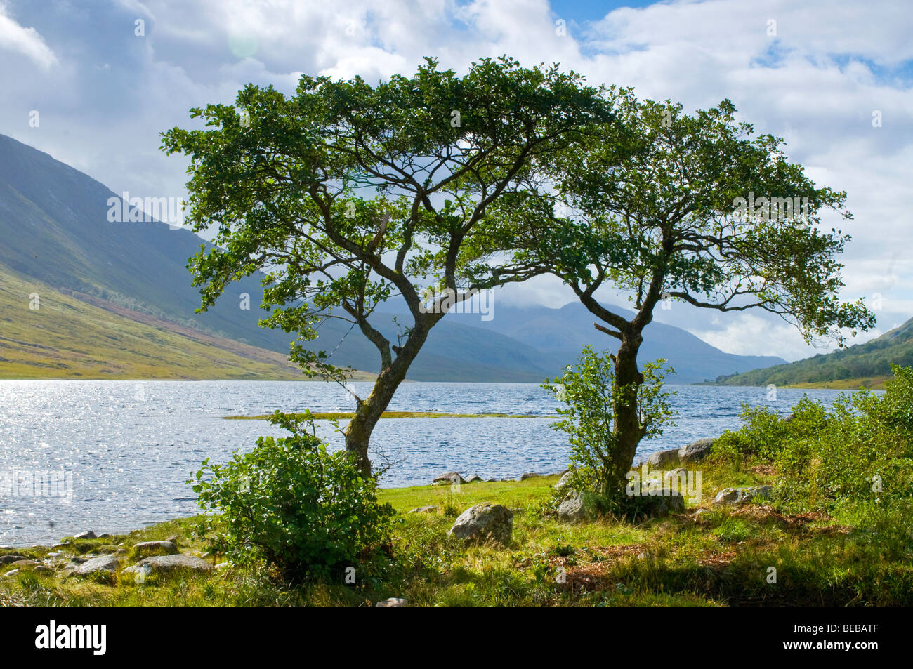 The eastern end of Loch Etive in Argyll and Bute SCO 5354 Stock Photo ...