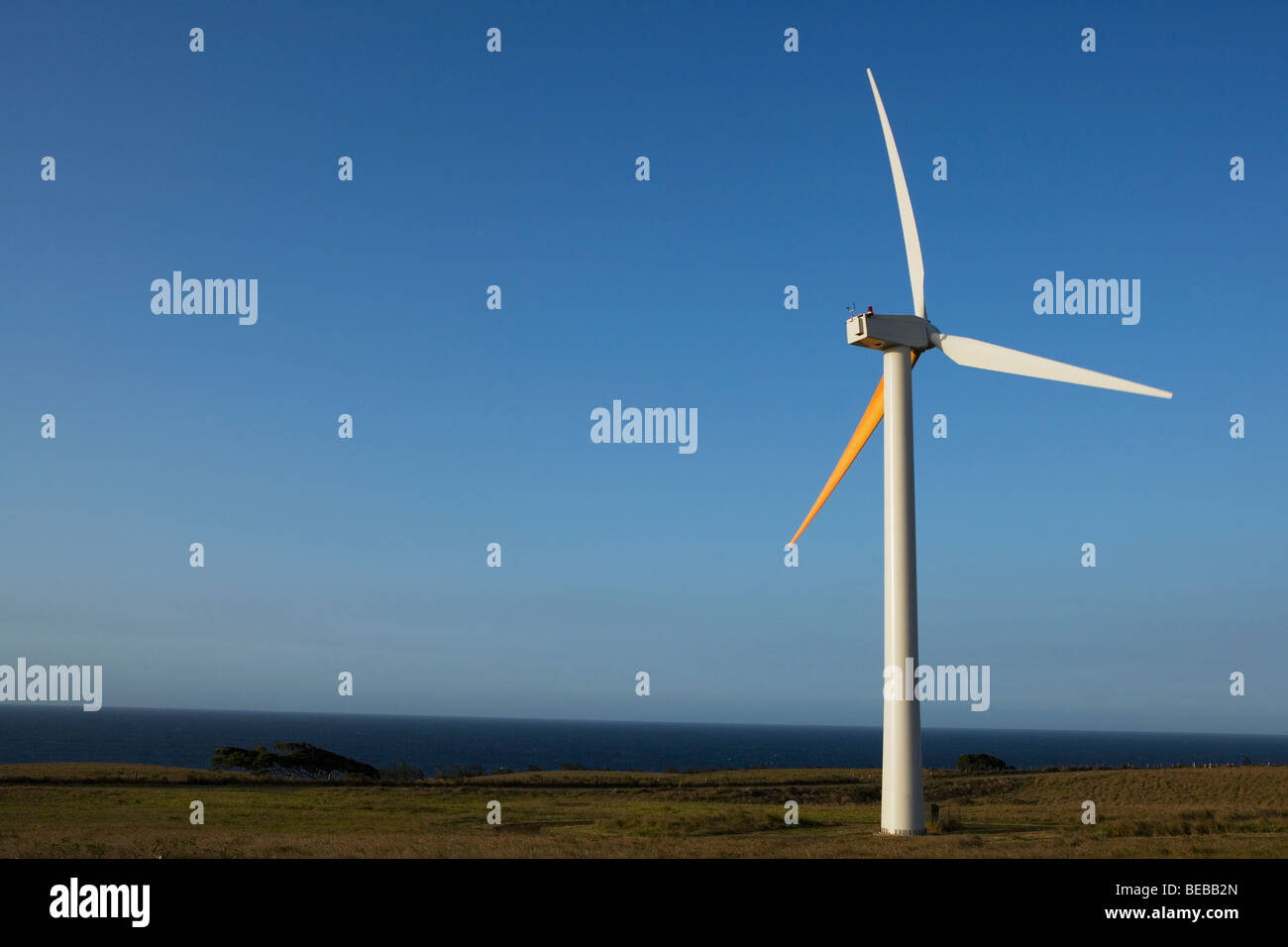 Wind turbines in a field, Pakini Nui Wind Project, South Point, Big ...