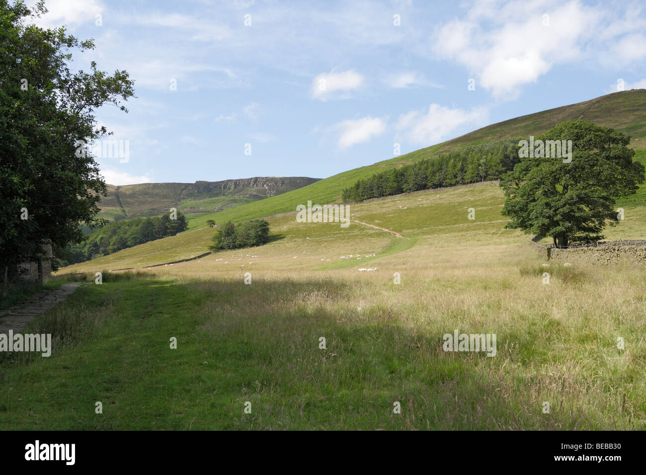 Grindsbrook booth hi-res stock photography and images - Alamy