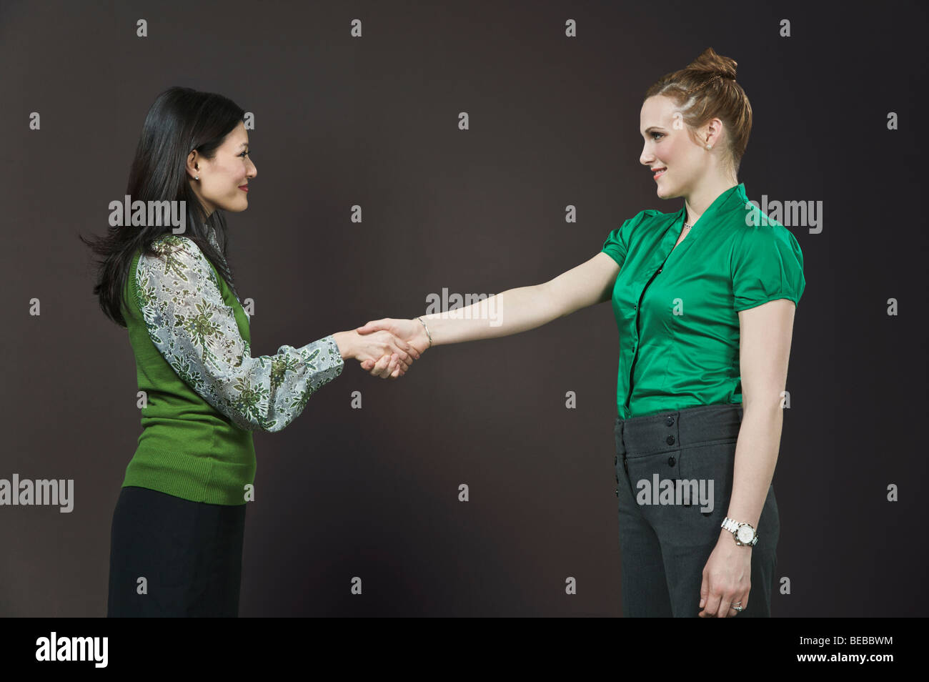 Businesswomen shaking hands Stock Photo - Alamy Businesswomen shaking hands Stock Photo - Alamy