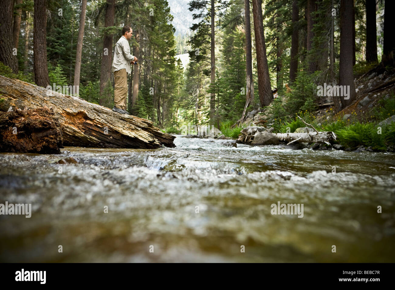 Man standing at the riverside Stock Photo - Alamy