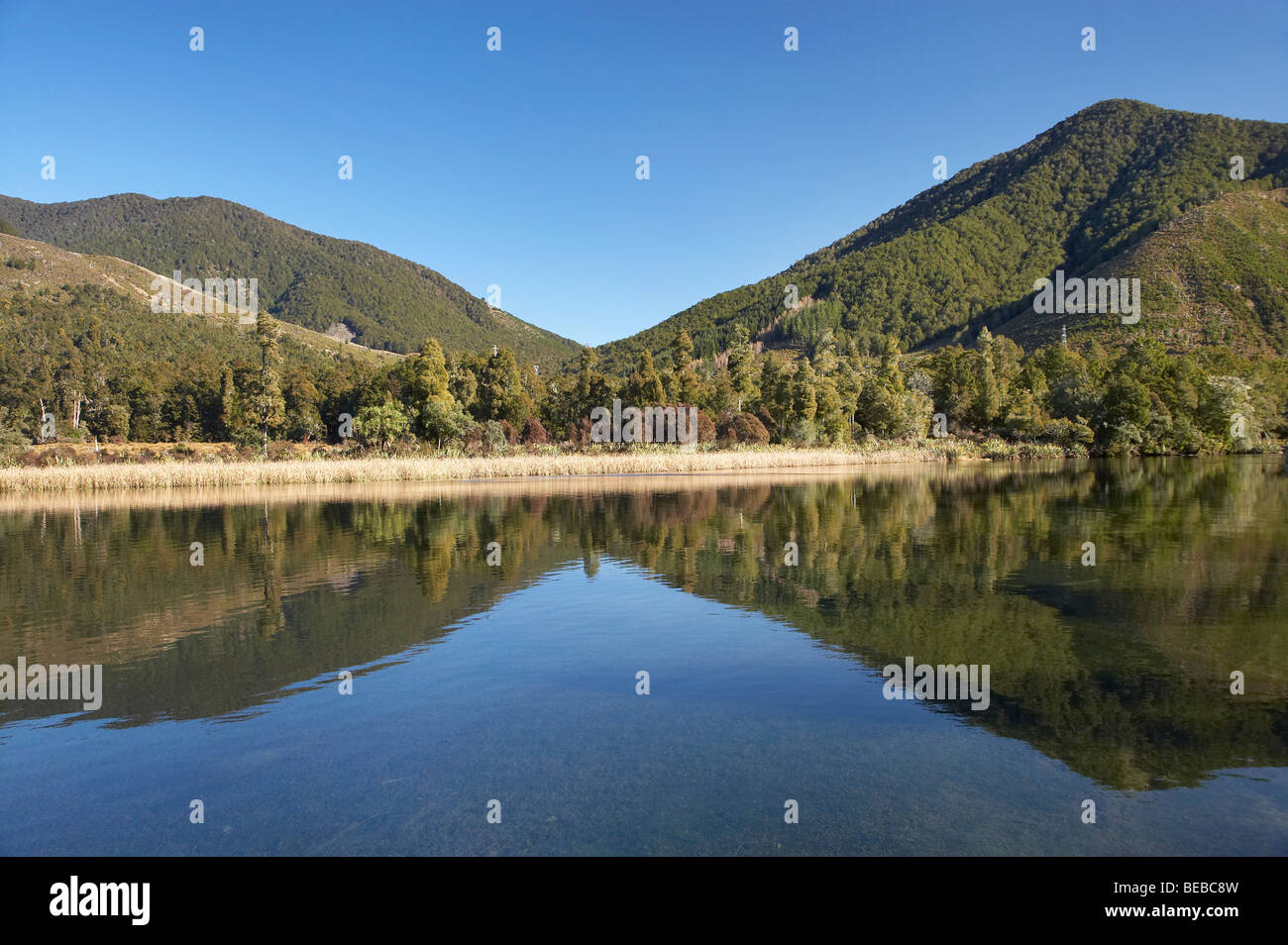 Lake Rotoroa, Nelson Lakes National Park, Tasman District, South Island ...