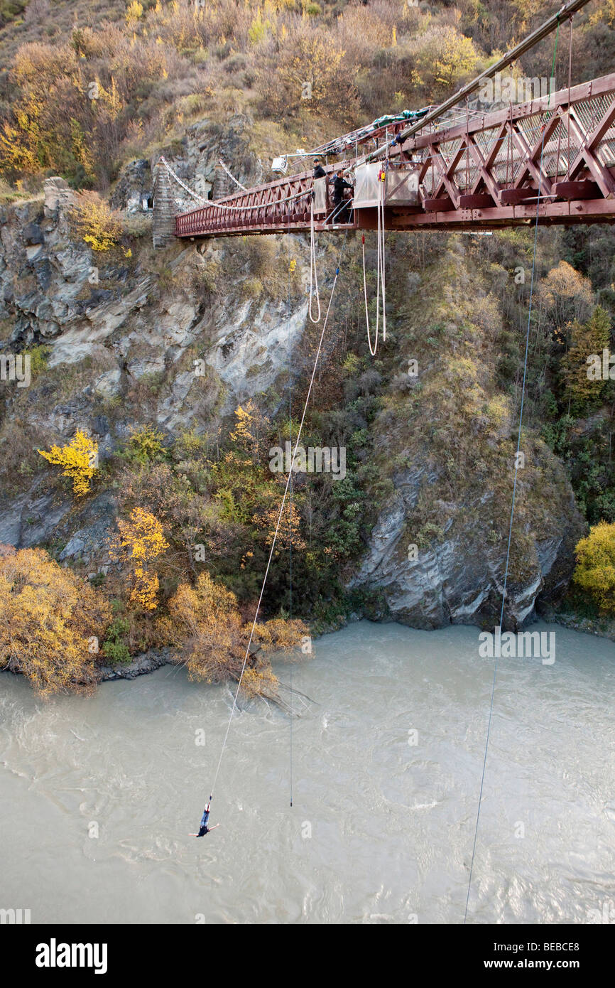 A man Bungy jumping with AJ Hackett Bungy off of Kawarau Bridge in ...