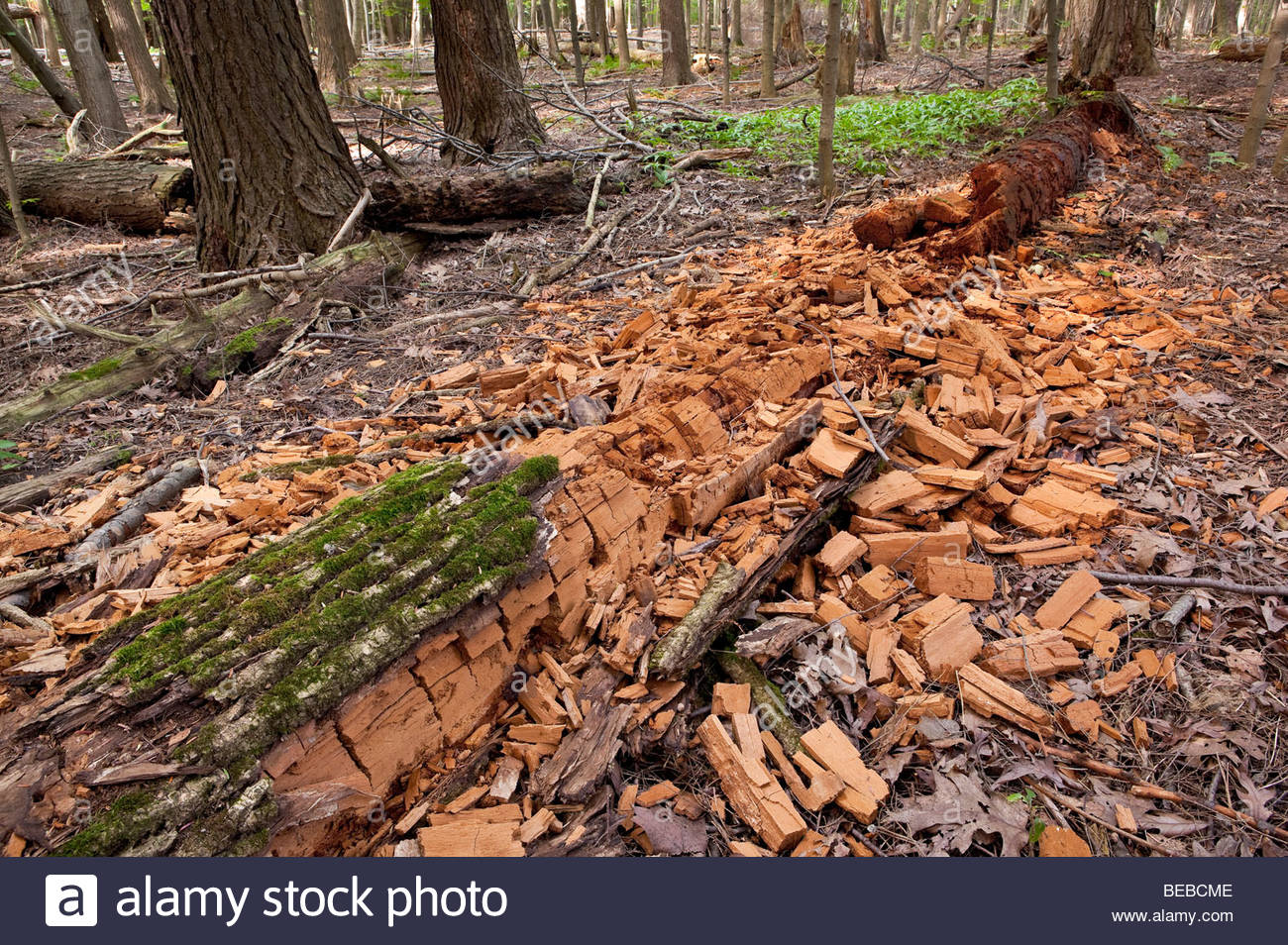 Cycle Decomposition High Resolution Stock Photography and Images - Alamy