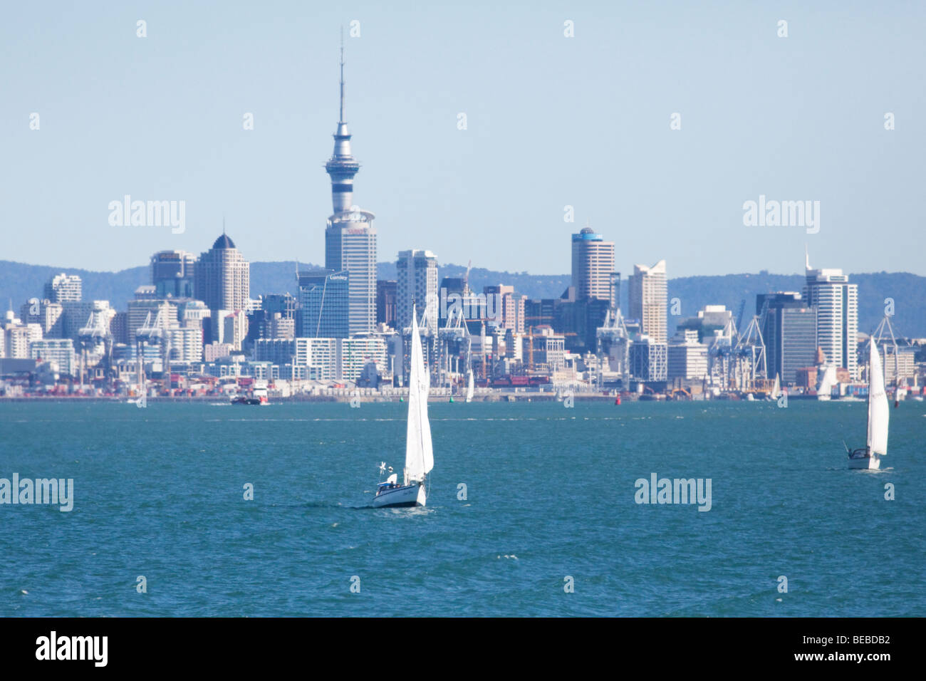 Little sailing boats in Auckland Harbour Stock Photo - Alamy