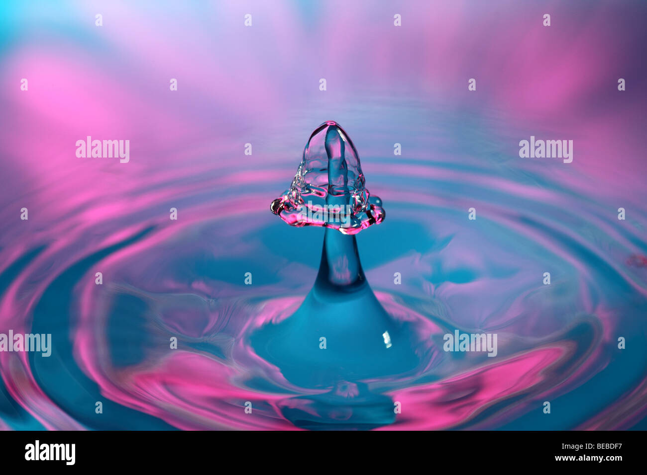 Drip High Resolution Stock Photography and Images - Alamy