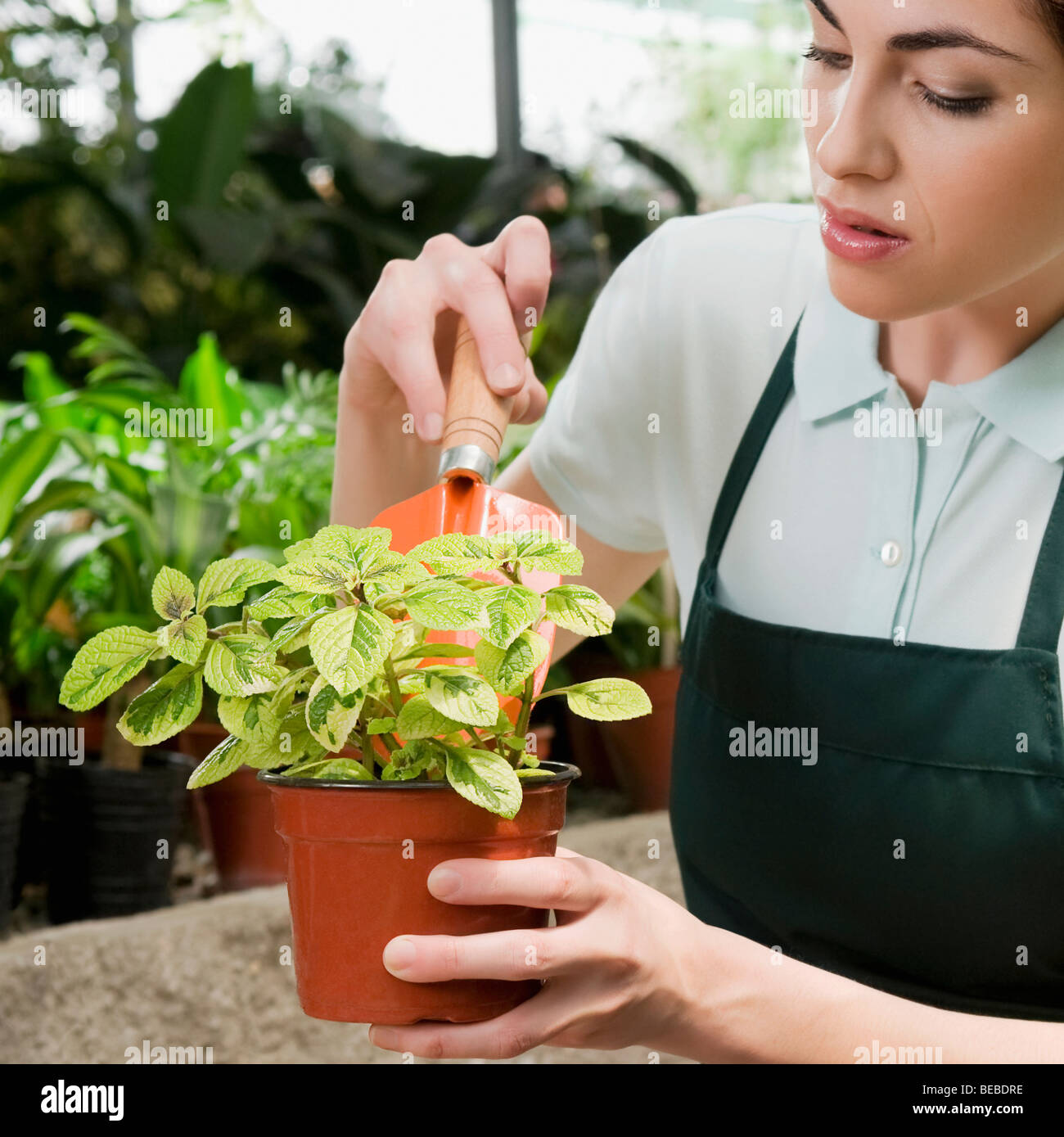 Pot head planter hi-res stock photography and images - Alamy
