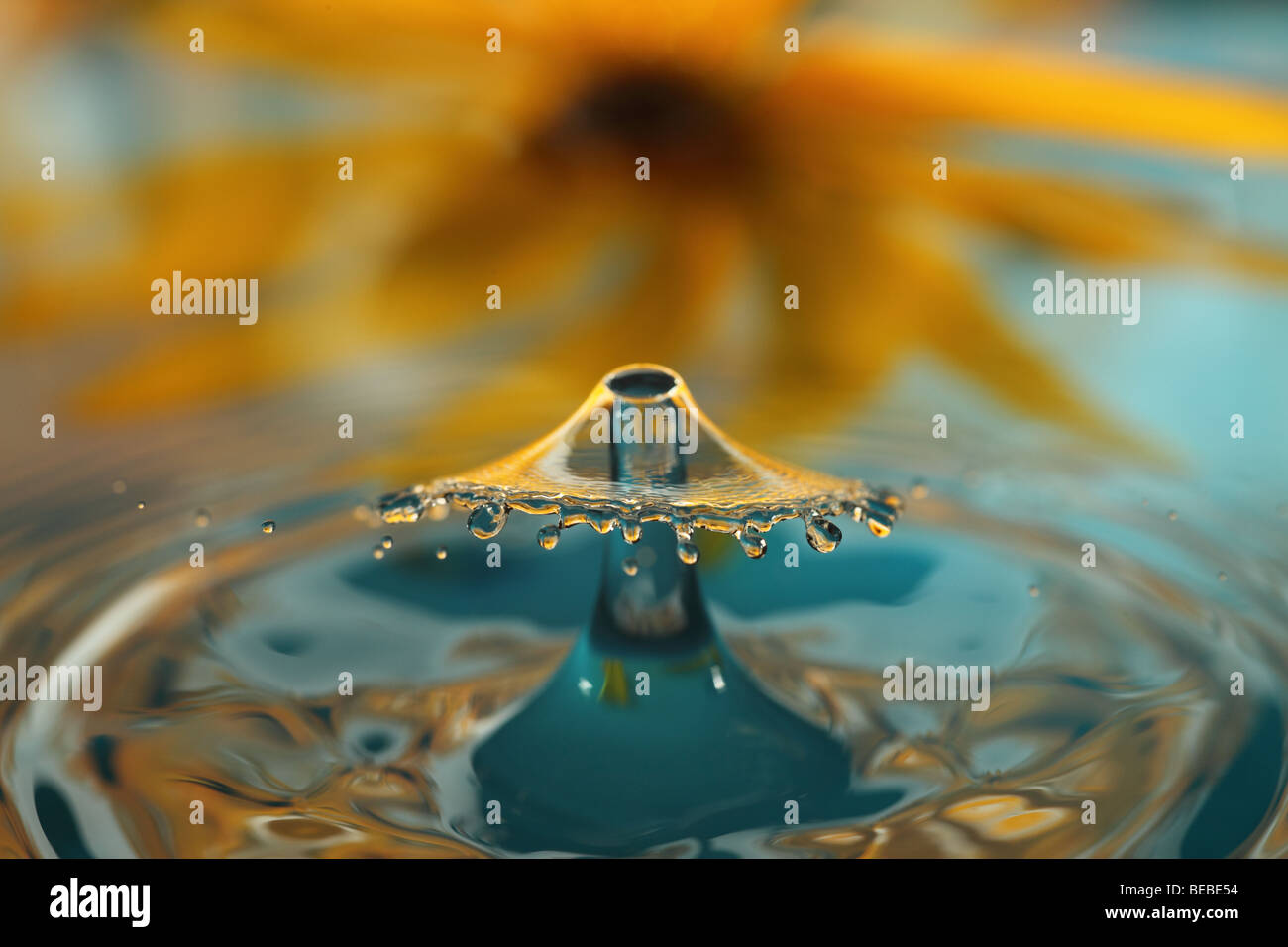 Drops Dripping High Resolution Stock Photography and Images - Alamy